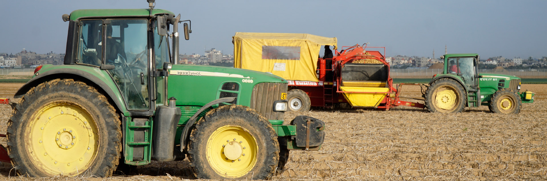 Looking for fruit and vegetable wholesalers | negev-produce